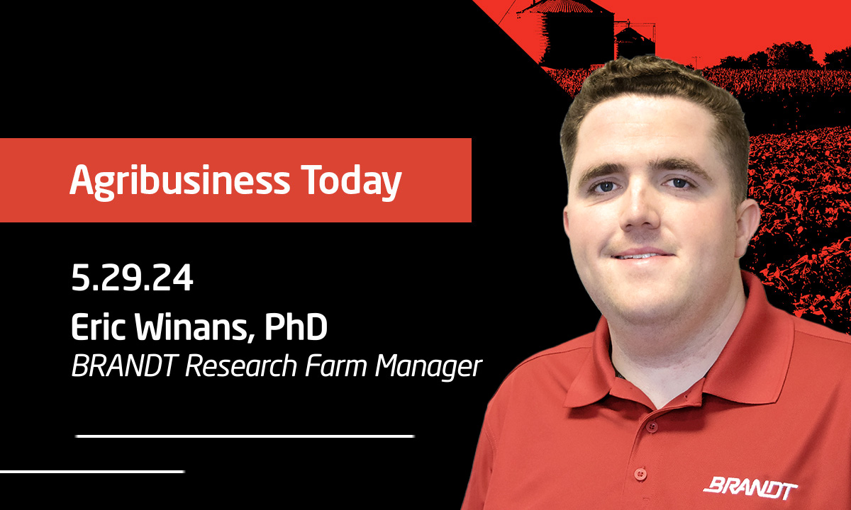 Crop Progress Update with Eric Winans, PhD