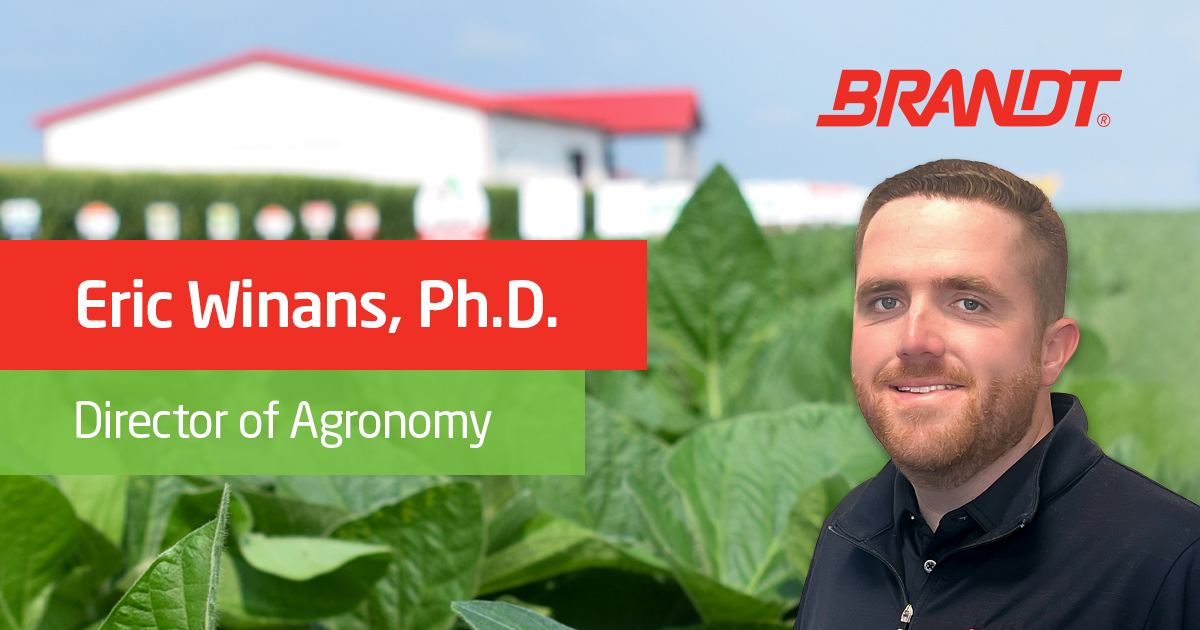 BRANDT Promotes Dr. Winans to Director of Agronomy
